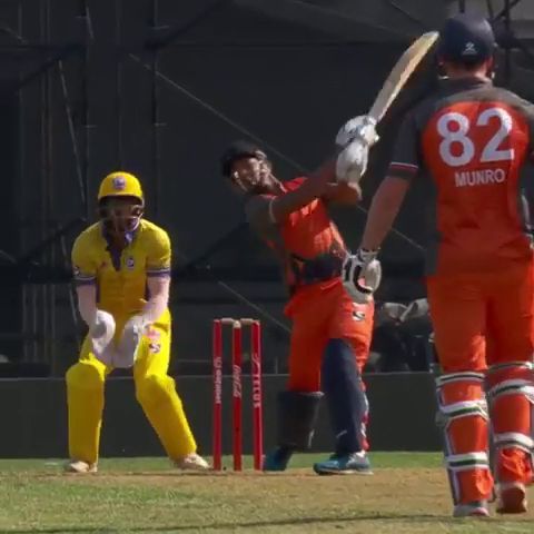 Brampton Wolves Cricket Team News, Schedule, Stats & Results