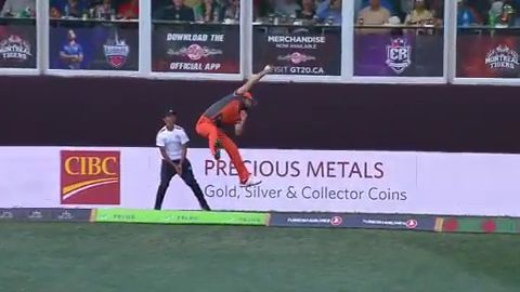 Brampton Wolves Cricket Team News, Schedule, Stats & Results