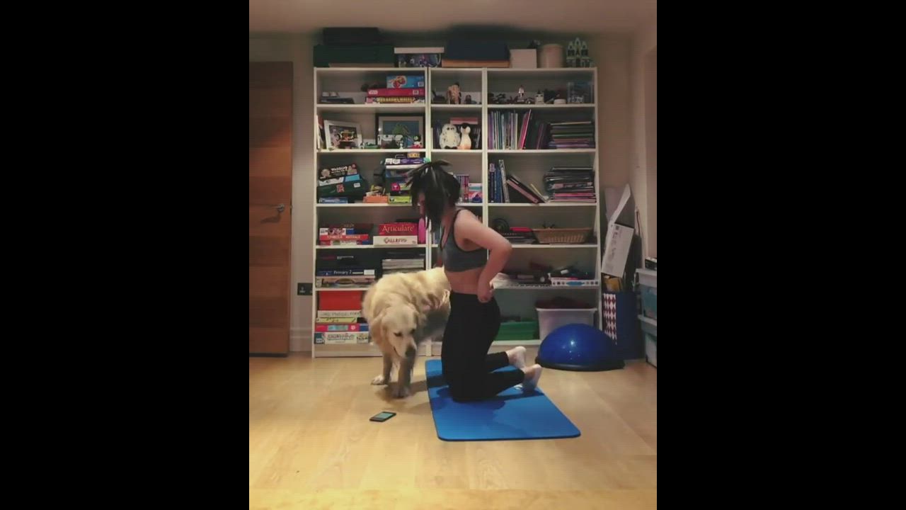 “Training at home has never been more fun! 😄🐶”